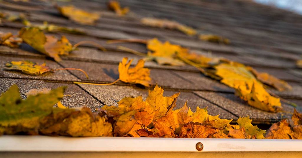 Don't Ignore These Fall Roof Warning Signs - Chattanooga Roofing Co.